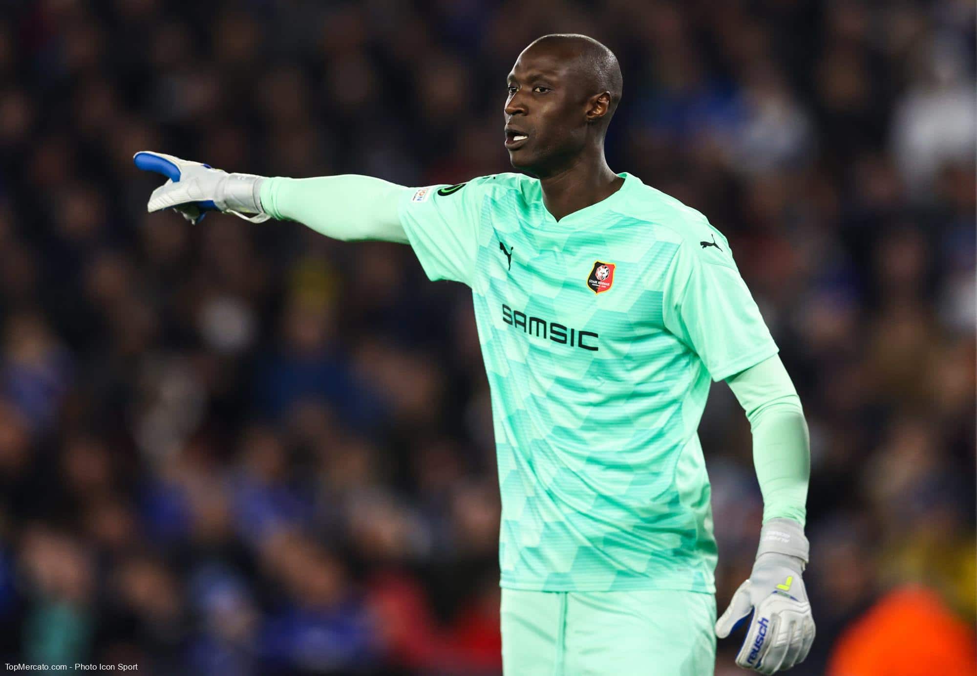 Rennes : Placardisé, Alfred Gomis sort du silence ! | Galsenfoot